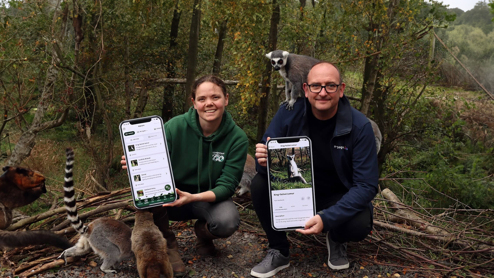 Developing a digital strategy for zoos: a n-gage.io case study with Northumberland Zoo | GCV